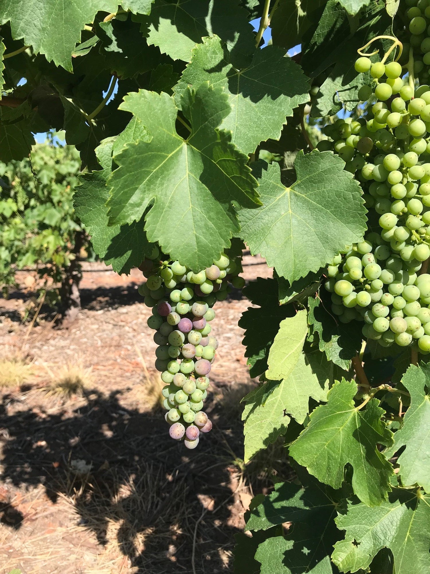 The one minute read - January 2024